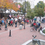 Burlington may let Occupy Vermont protesters camp in city park; en ...