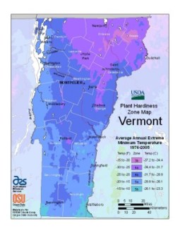 New hardiness zones show warming trend in Vermont - VTDigger