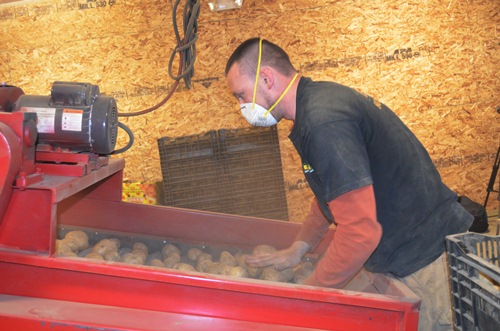 Prisoners package potatoes for Vermont Foodbank