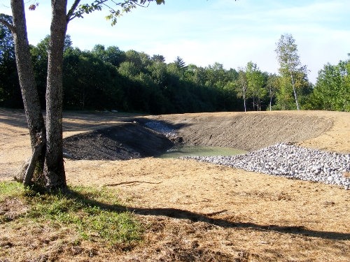 In This State: Tim Matson is Vermont's supreme ponderer of ponds - VTDigger