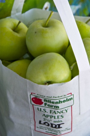 In This State: At Allenholm Farms, everything's coming up apples