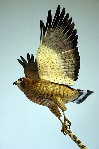 In This State: Bob Spear is the heart of the Birds of Vermont Museum ...