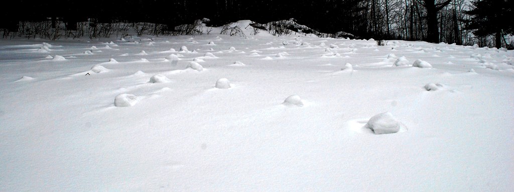 Landscape Confidential: The beautiful side of icy weather