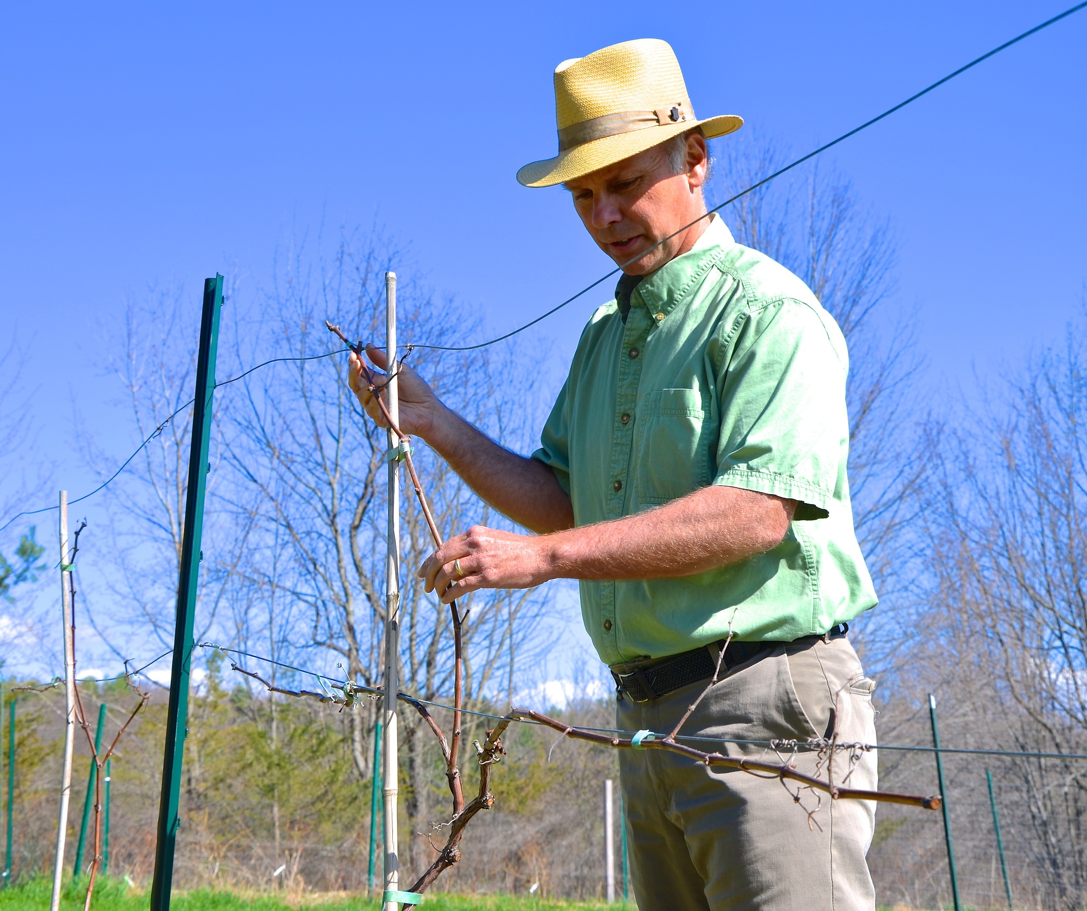 Charlie Nardozzi: A guru of the garden, springing up all over - VTDigger