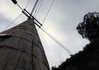 In rare cases, utility poles are a source of PCP contamination in ...