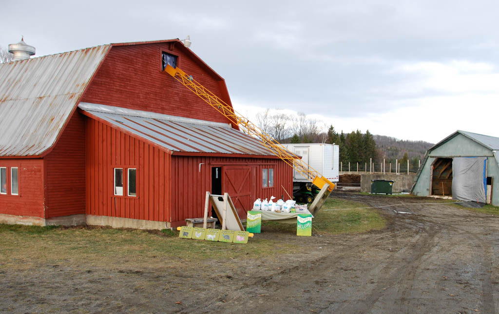 Turkey day a mixed blessing for West Glover farm
