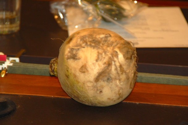 Gilfeather turnip proposed state vegetable - VTDigger