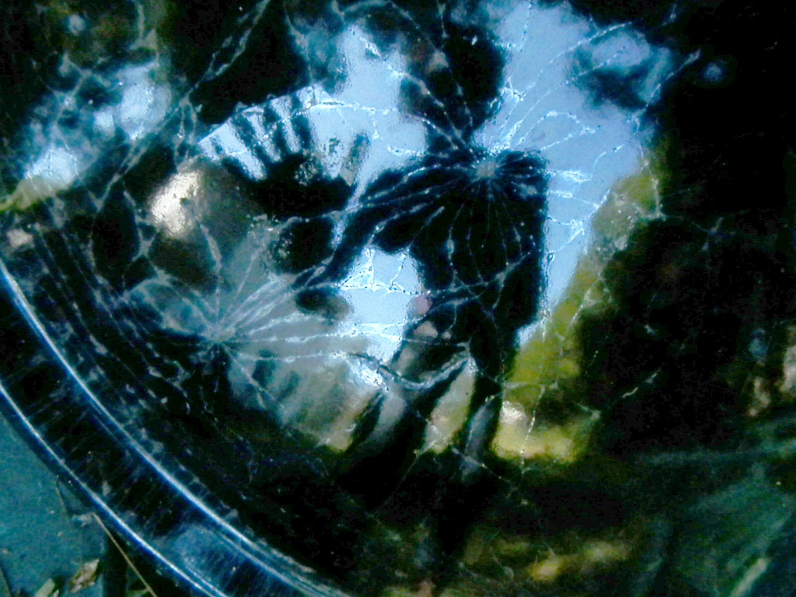 YWP: 'Remembering you' - VTDigger