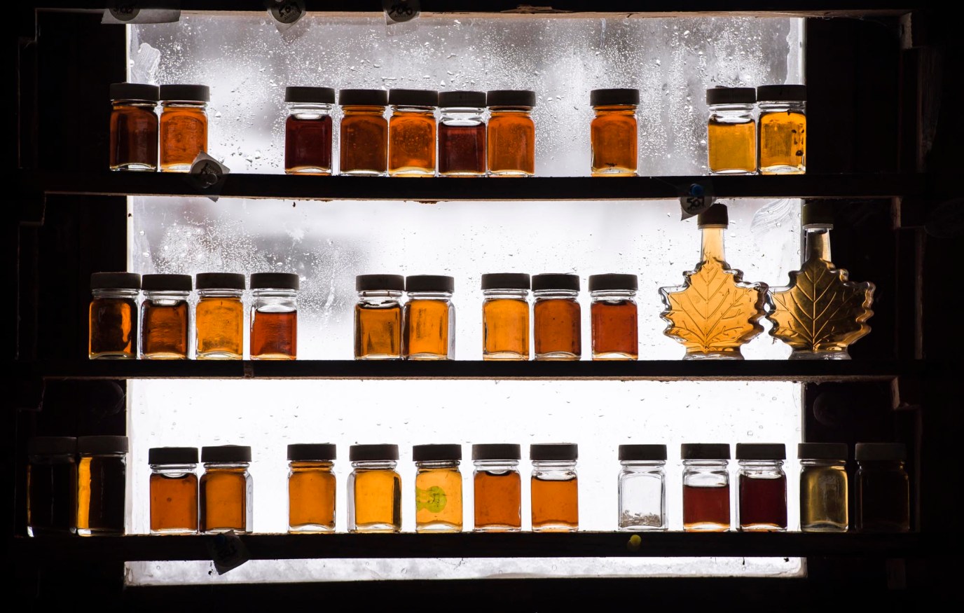 Shaun Robinson, Author at VTDigger