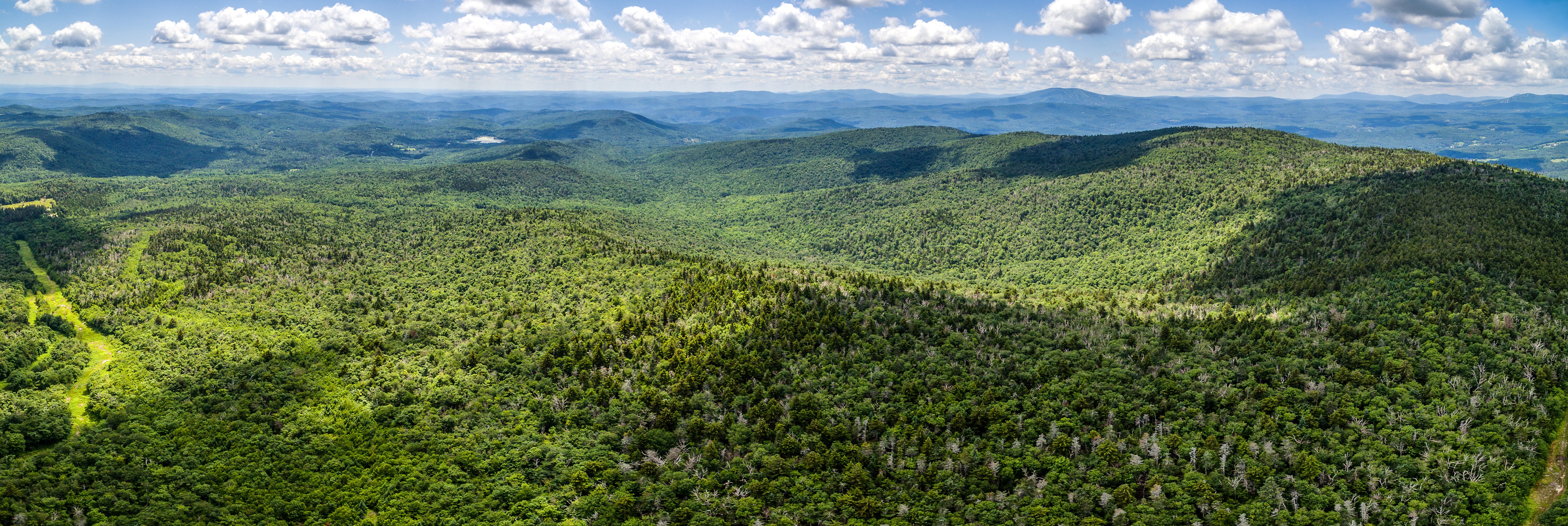 Nature Conservancy finalizes $3.5 million Glebe Mountain purchase ...
