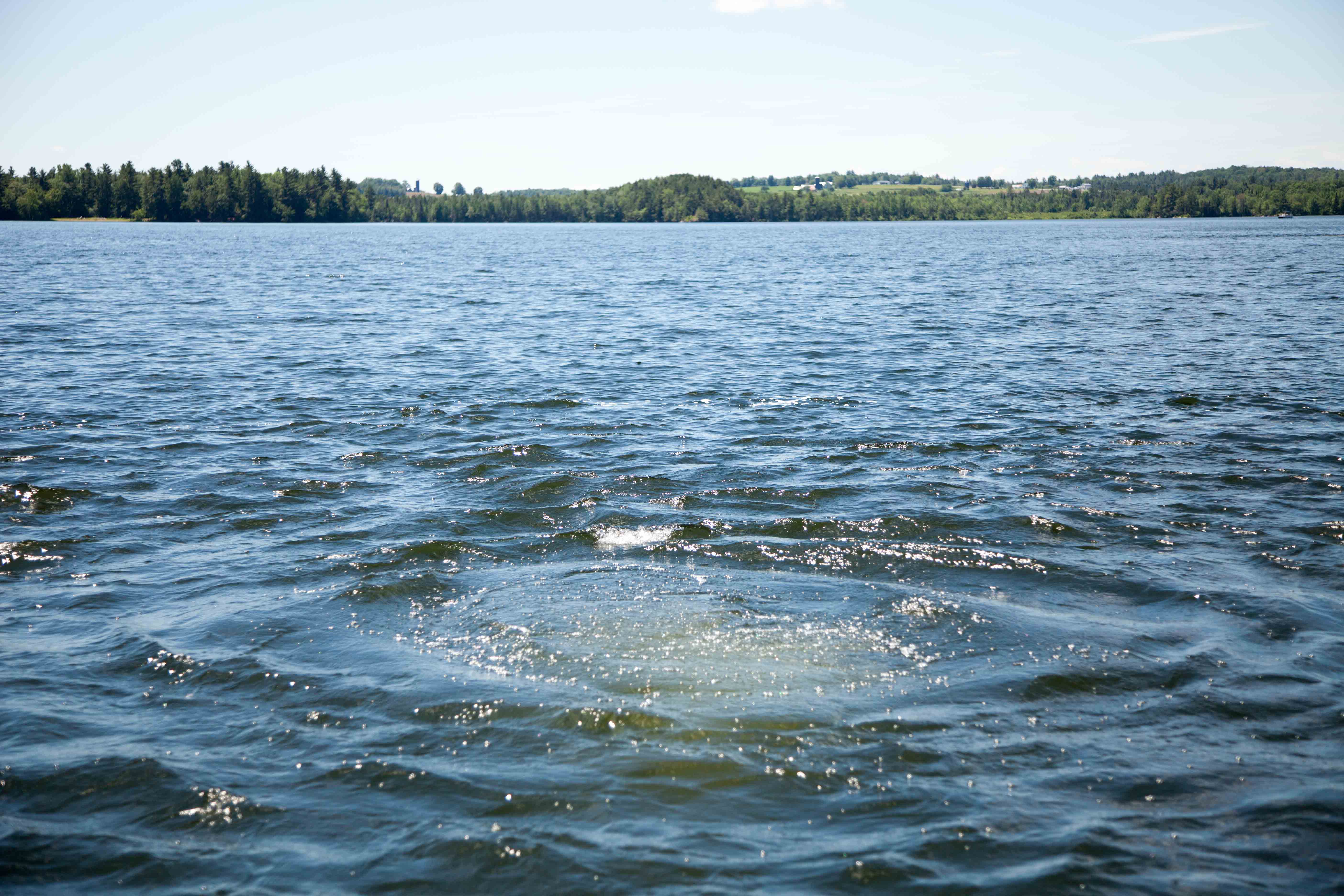The Deeper Dig: Can technology save Lake Carmi? - VTDigger