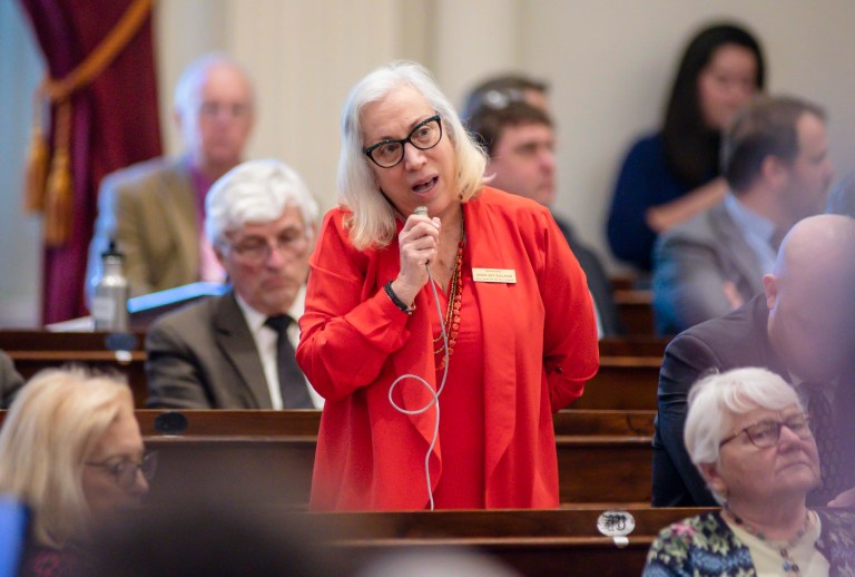 Linda Joy Sullivan fails to beat Doug Hoffer in auditor’s race - VTDigger