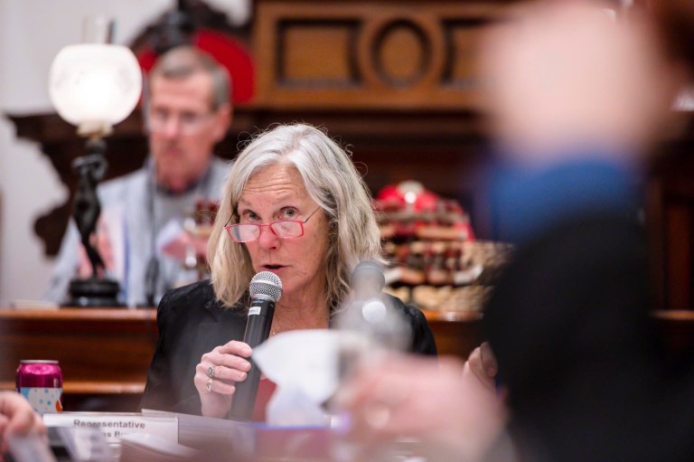 Vermonters voice opposition, support for domestic violence gun bill ...