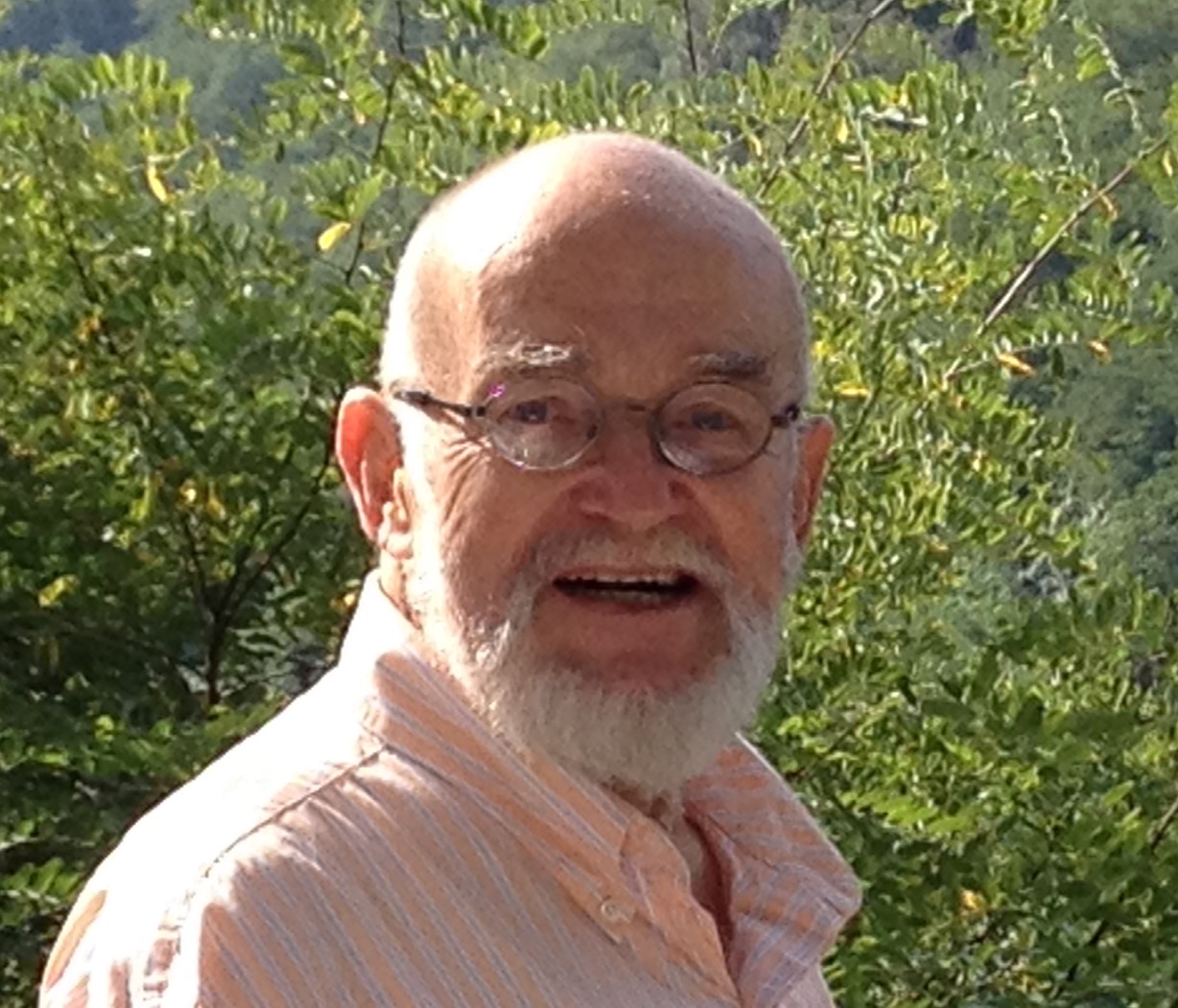 Raymond Brown, 'prolific painter and natural merchant' - VTDigger