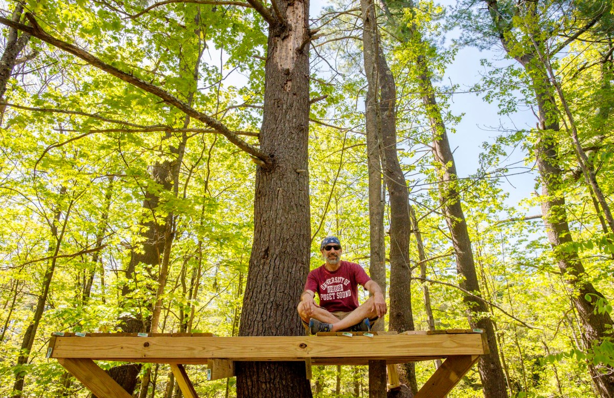 Poorer and wiser, fewer hemp farmers gear up this season - VTDigger