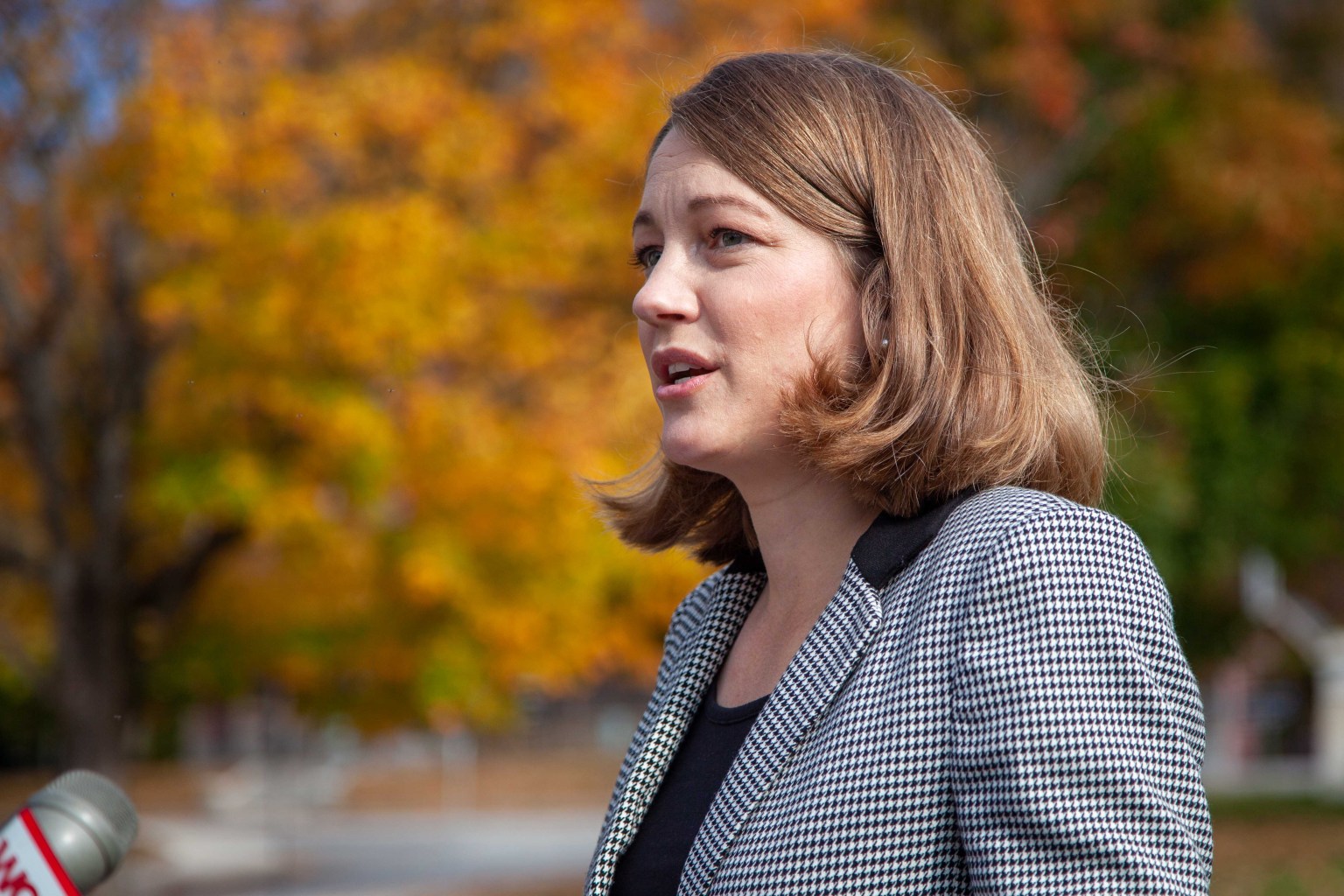 Warren endorses Gray: 'Molly will be a bold and effective lieutenant ...