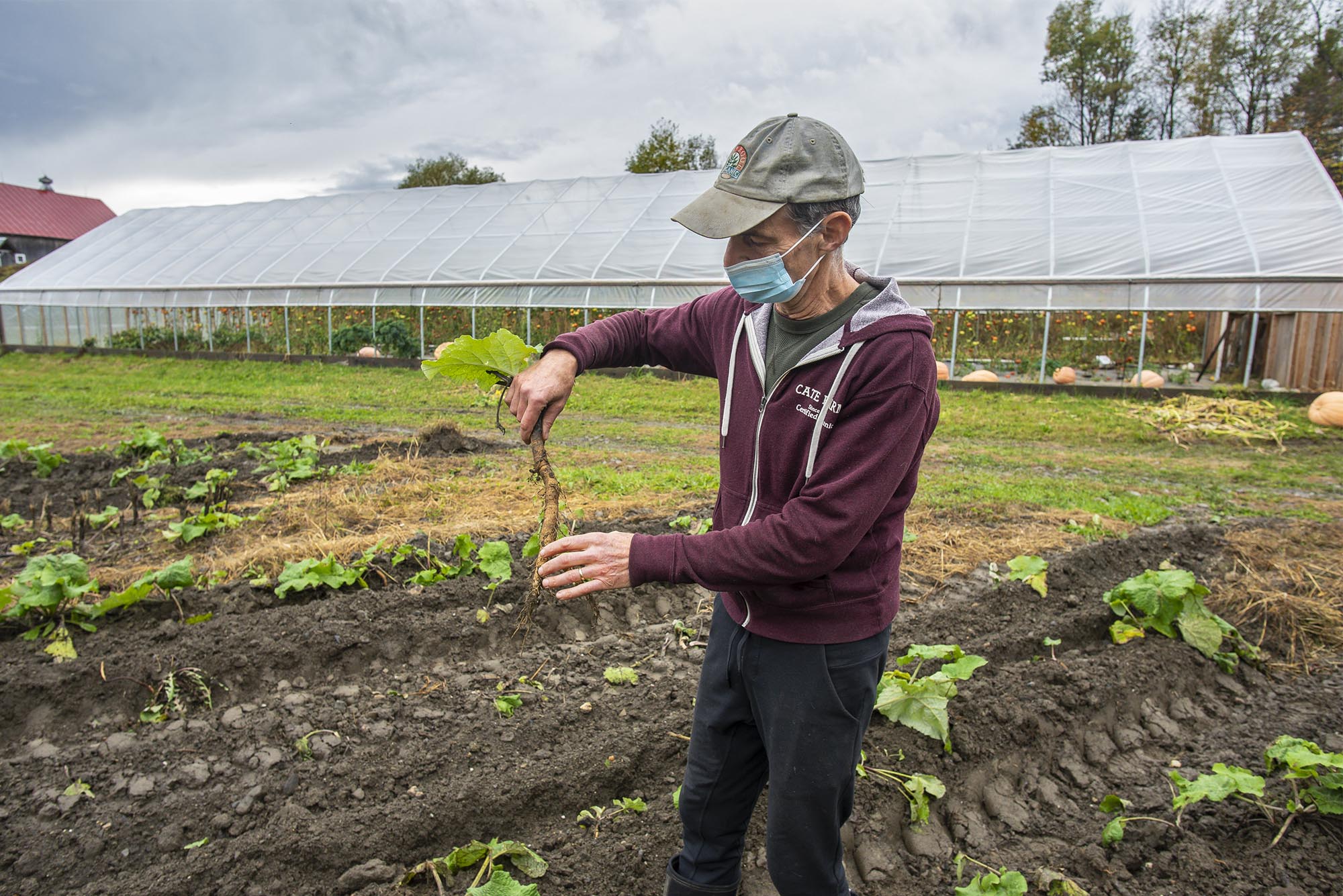 Pandemic, new consumer outlook create new markets for Vermont produce ...