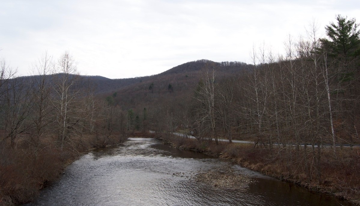 Trout are on the rise again in the Battenkill, a river prized by ...