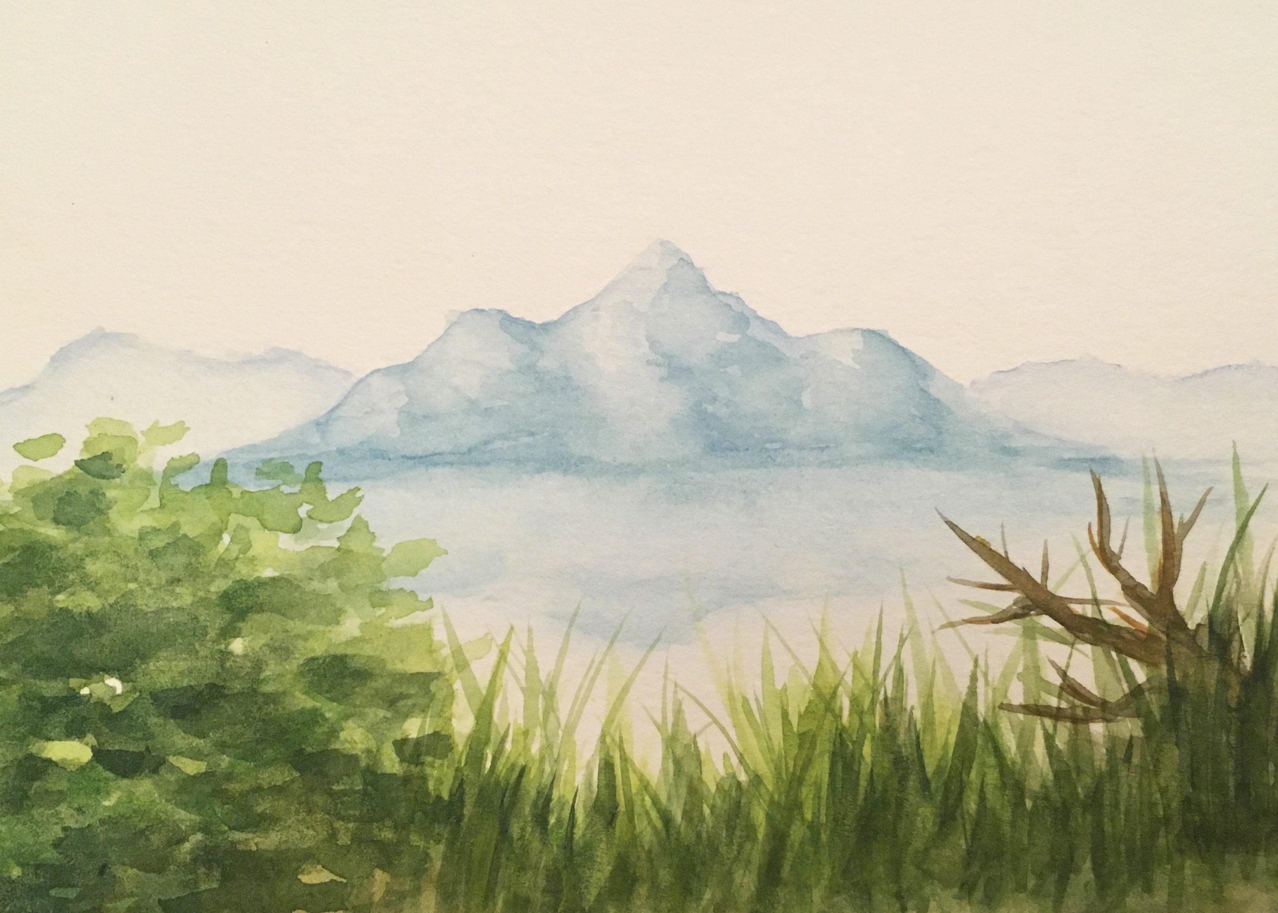 YWP: 'Walking on a sunny day' - VTDigger