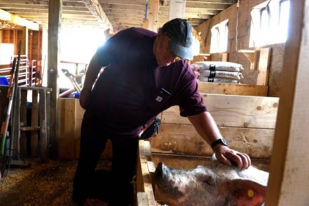 In This State: From Fred Tuttle to Miss Vermont, Jack Rowell documents ...