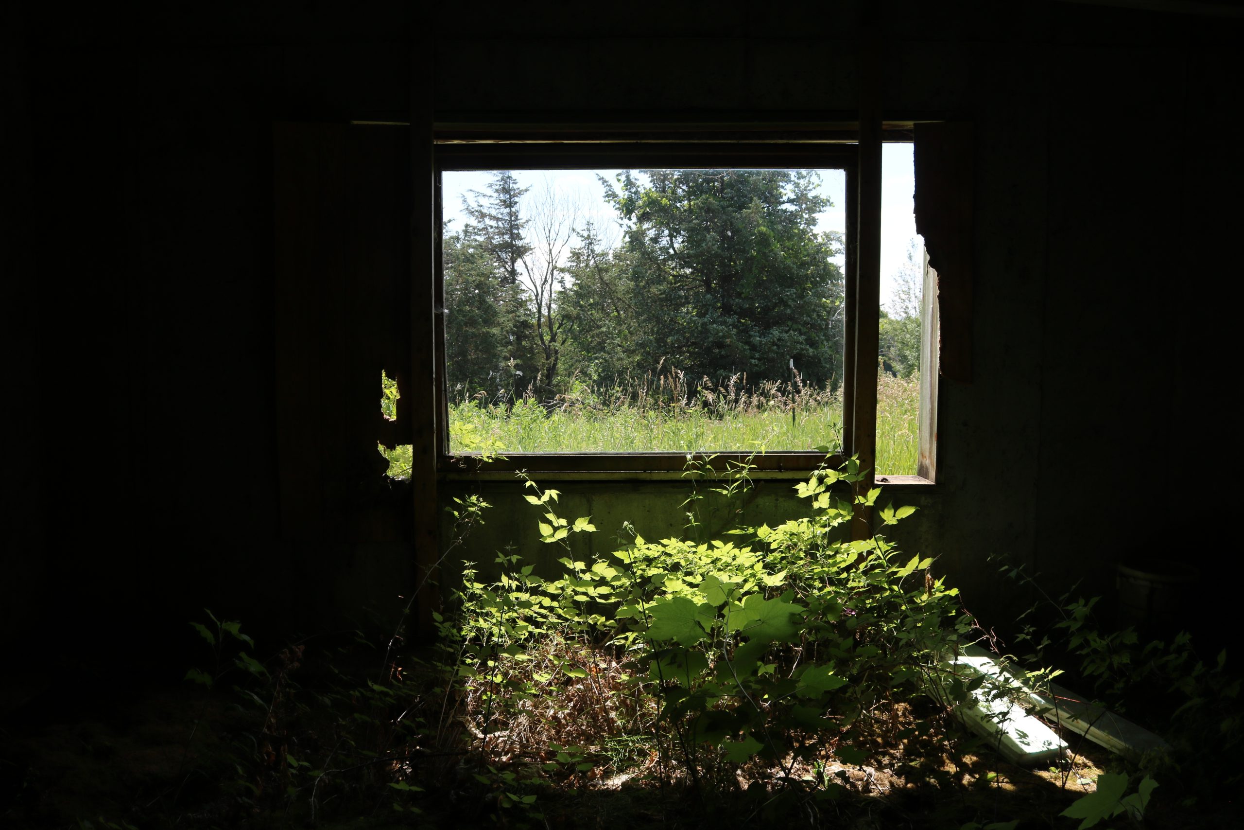 In the market for a doomsday bunker? Alburgh has just the place. - VTDigger