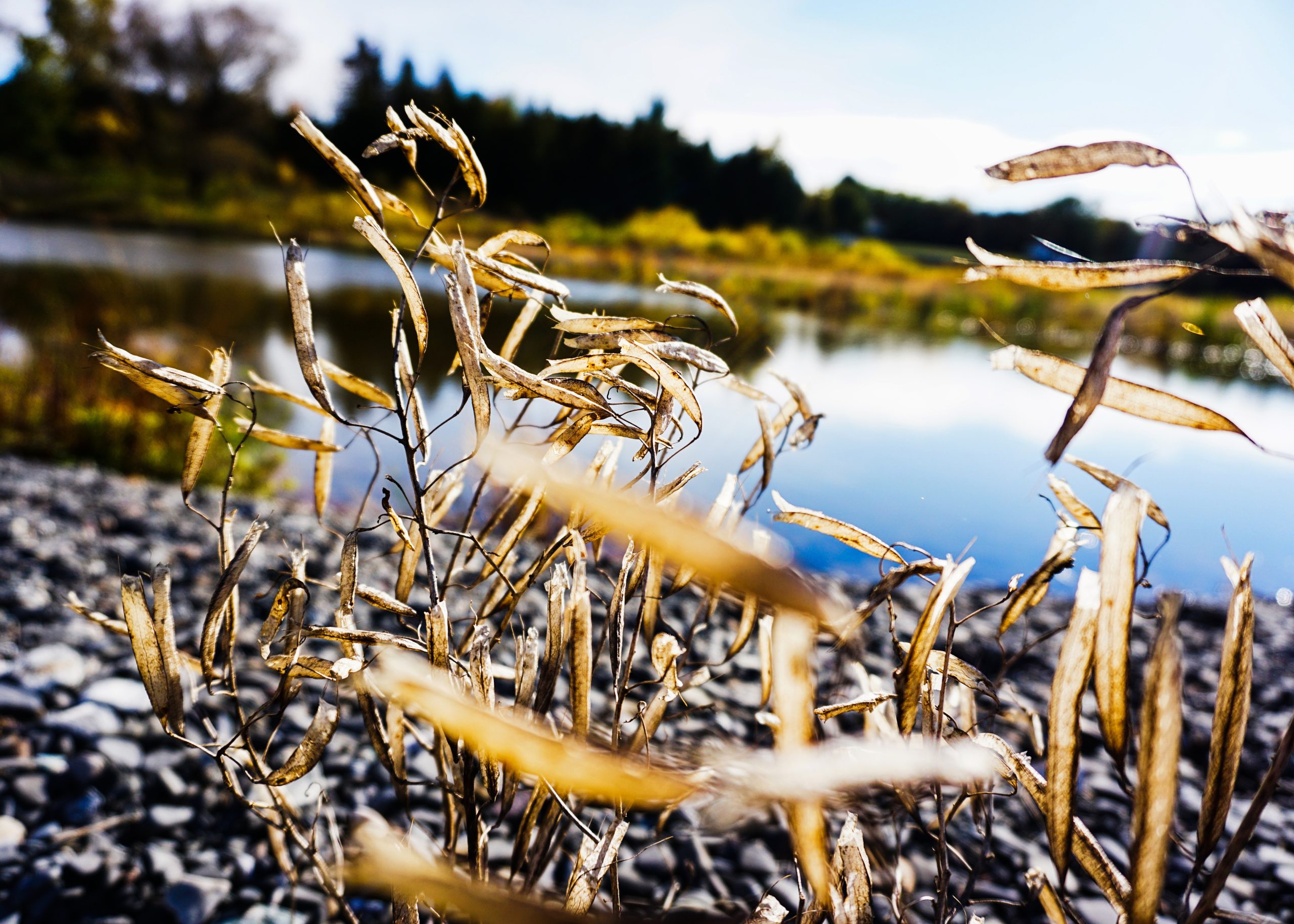 YWP: This Place - VTDigger