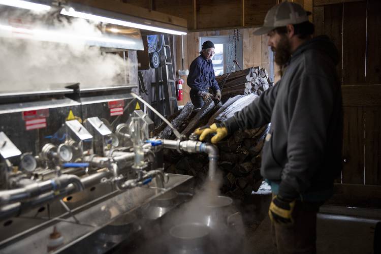 Climate change is already impacting the maple sugaring industry - VTDigger