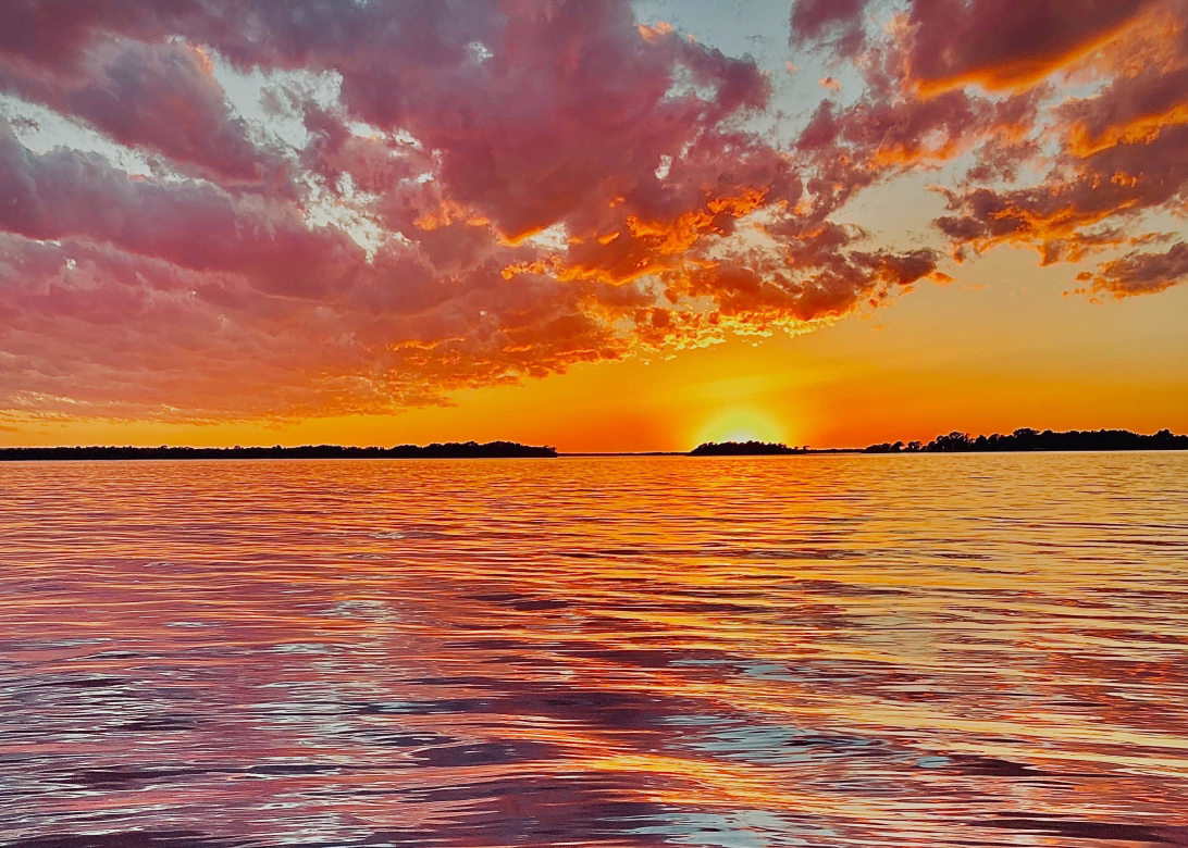 YWP: Sunshine - VTDigger