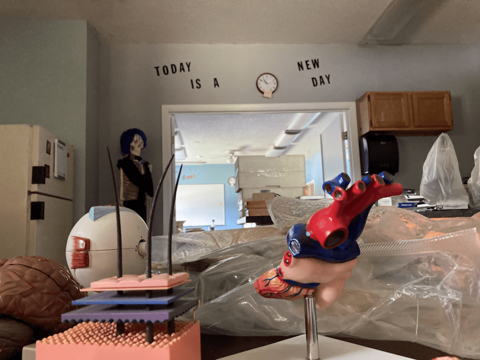 Stones unturned: Before it closed, for-profit school drew attention of ...