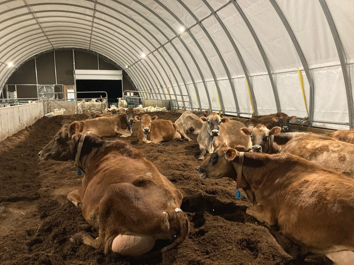 Q&A: After a wet year, then a dry one, Brattleboro’s Rebop Farm adapts ...