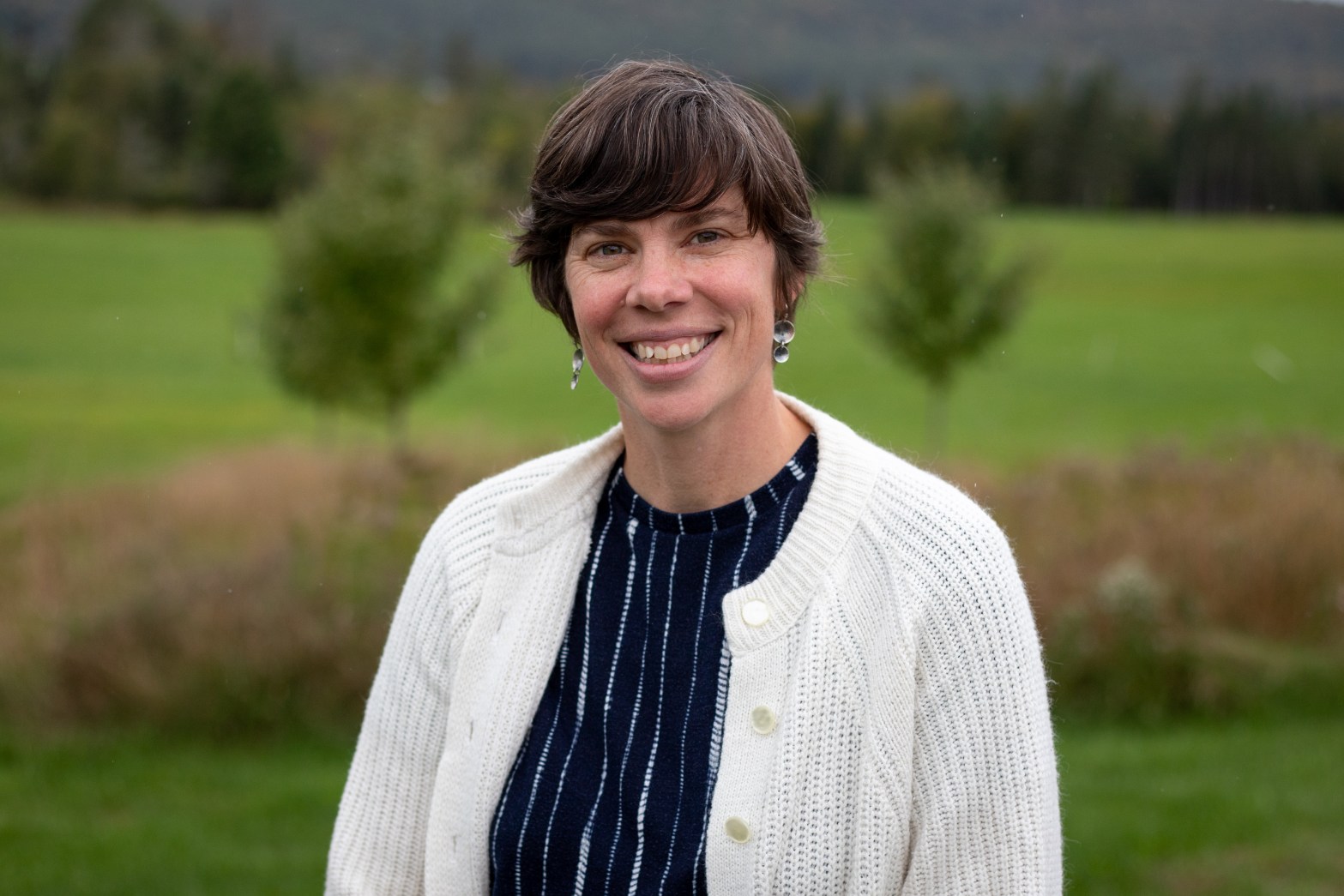 How Democrats secured a historic majority in the Vermont House - VTDigger