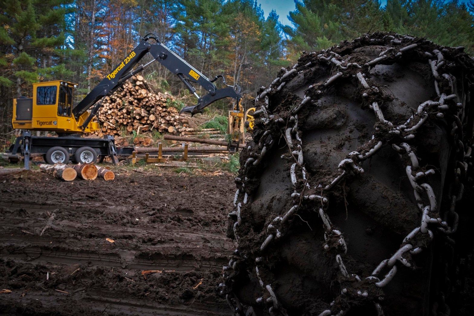 Lawmakers pass bill that would crack down on timber theft - VTDigger