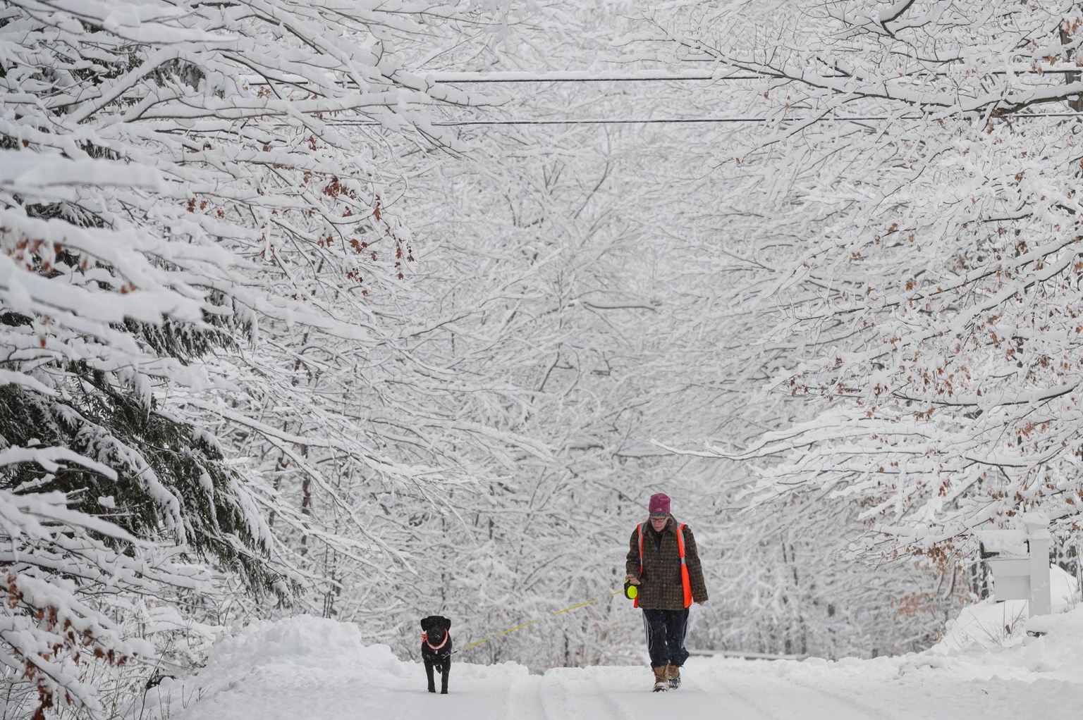 PHOTOS: The season's first major snowstorm created a whiteout in ...