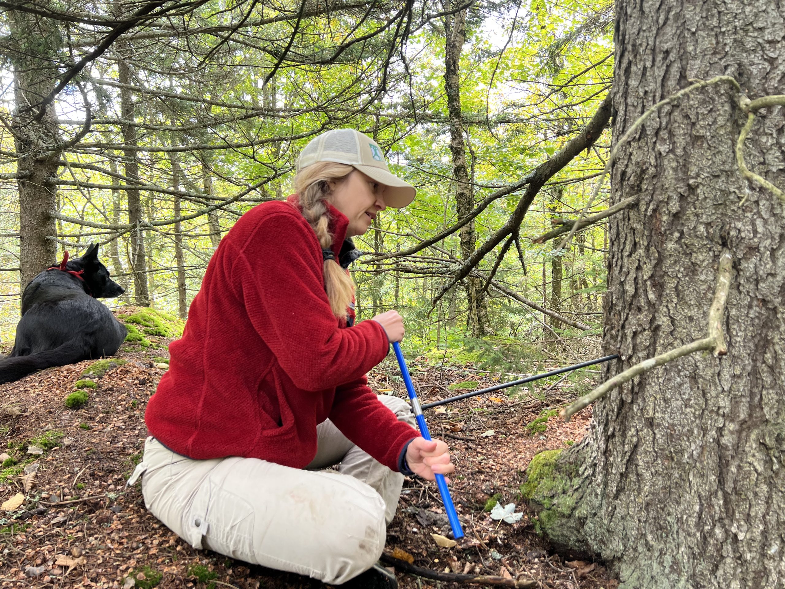 The Deeper Dig: In the forest, a patch of common ground - VTDigger