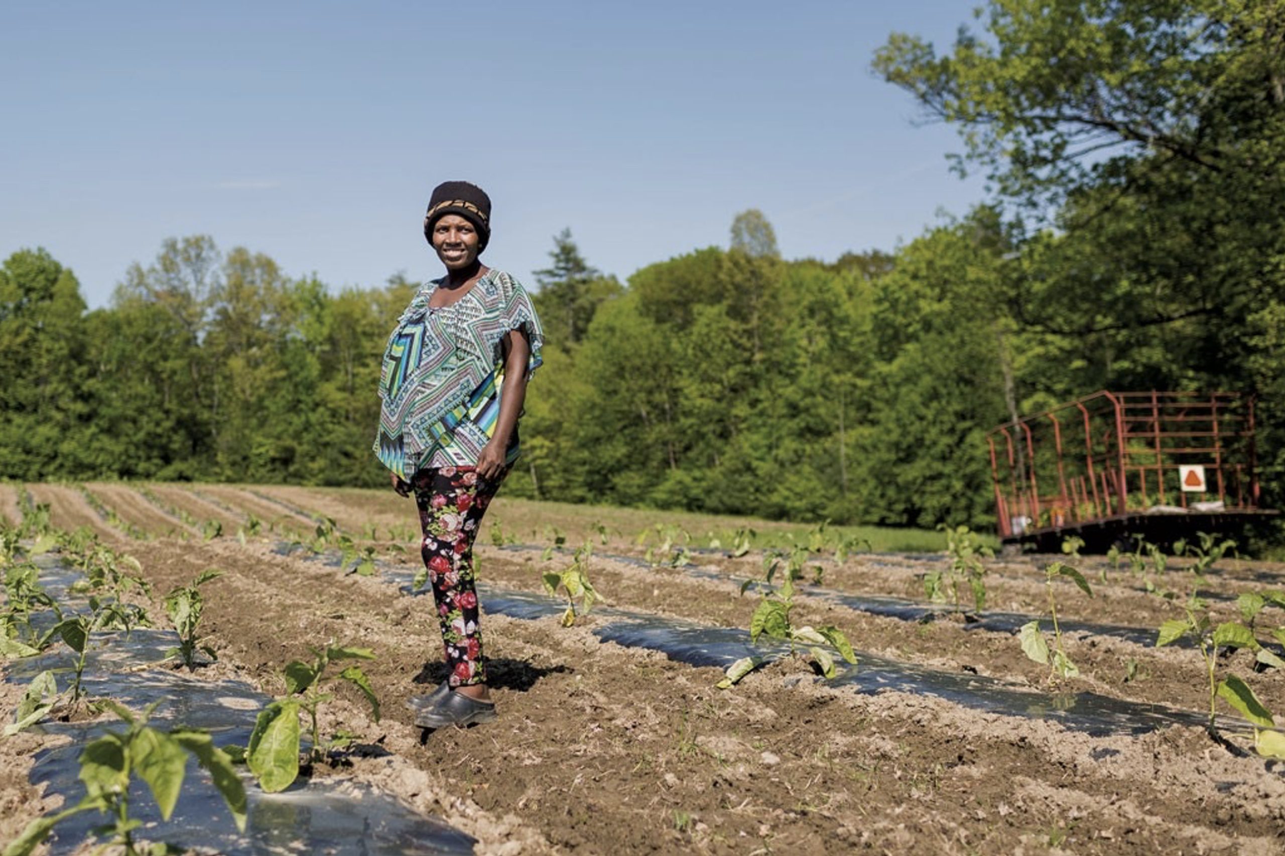 Report recommends strategies to reach Vermonters most impacted by ...