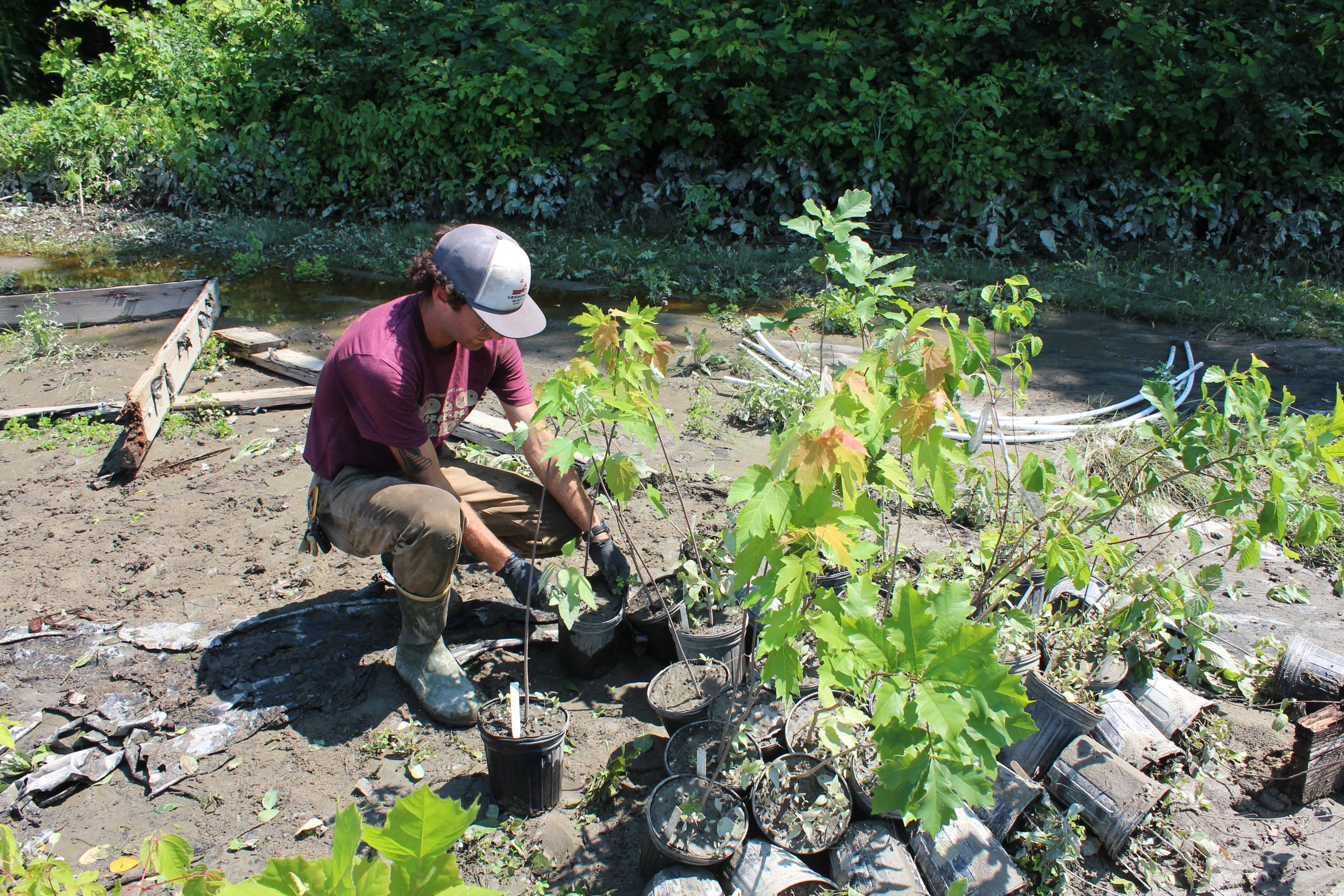 ‘A very stressful time’: Vermont farmers face heavy damages from deluge ...