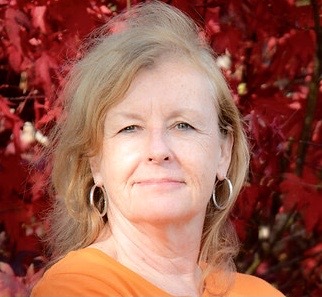 Gov. Phil Scott appoints Williston woman to fill state Superior Court ...