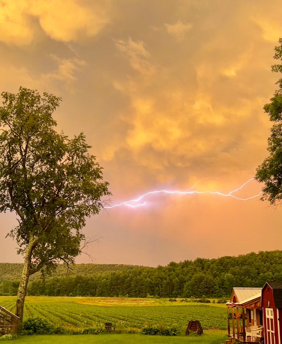 Thunderstorms barrel through Vermont, uprooting trees and knocking out ...
