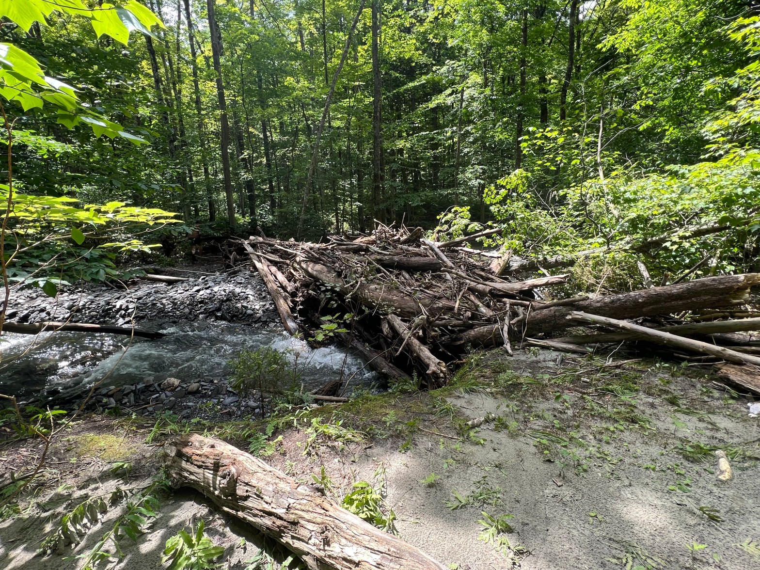 Logs in the river? Keep them there, Vermont officials advise. - VTDigger
