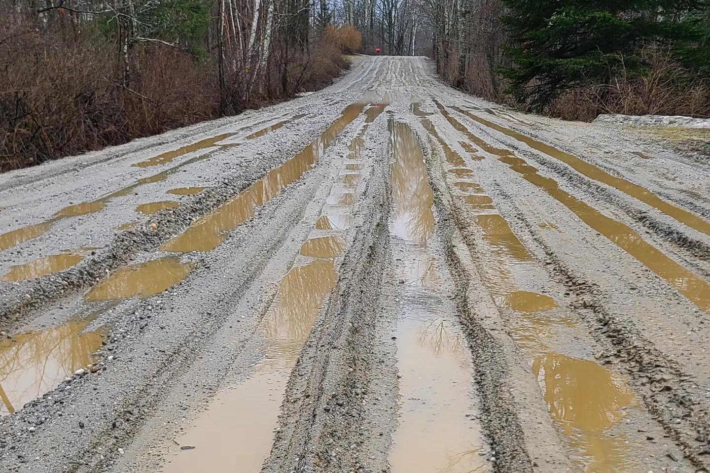 What is Vermont’s great thaw when there’s no great freeze? - VTDigger