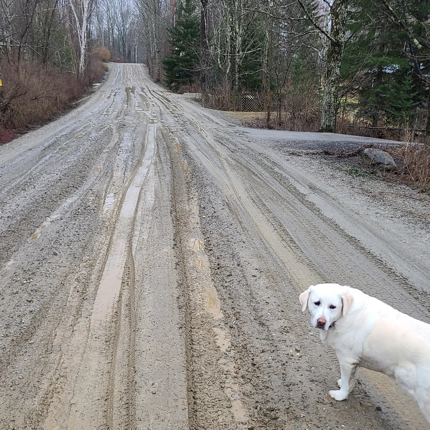 What is Vermont’s great thaw when there’s no great freeze? - VTDigger