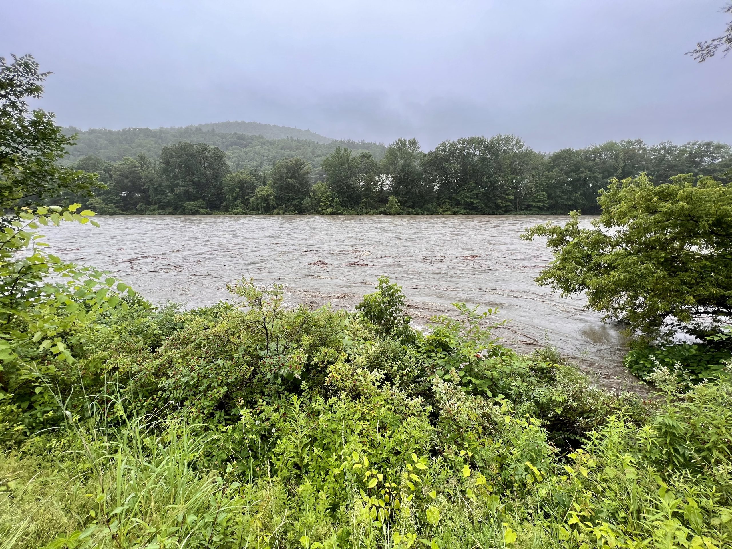 ‘A whole forest is floating down’ the White River - VTDigger