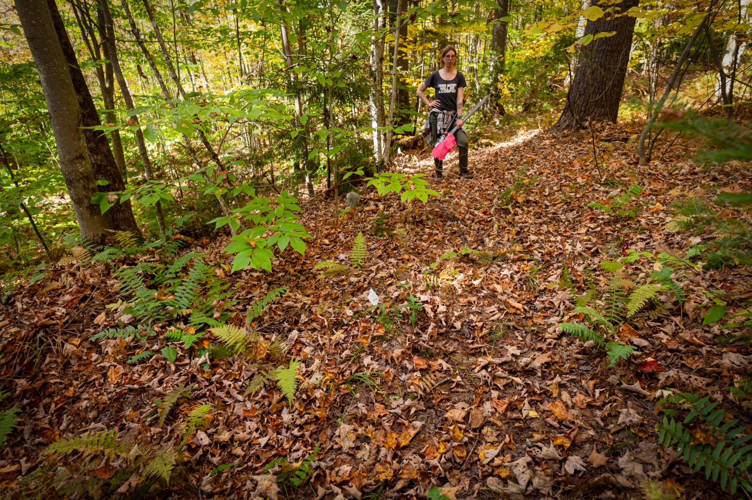 Vermont’s first fully natural burial cemetery is opening this month ...