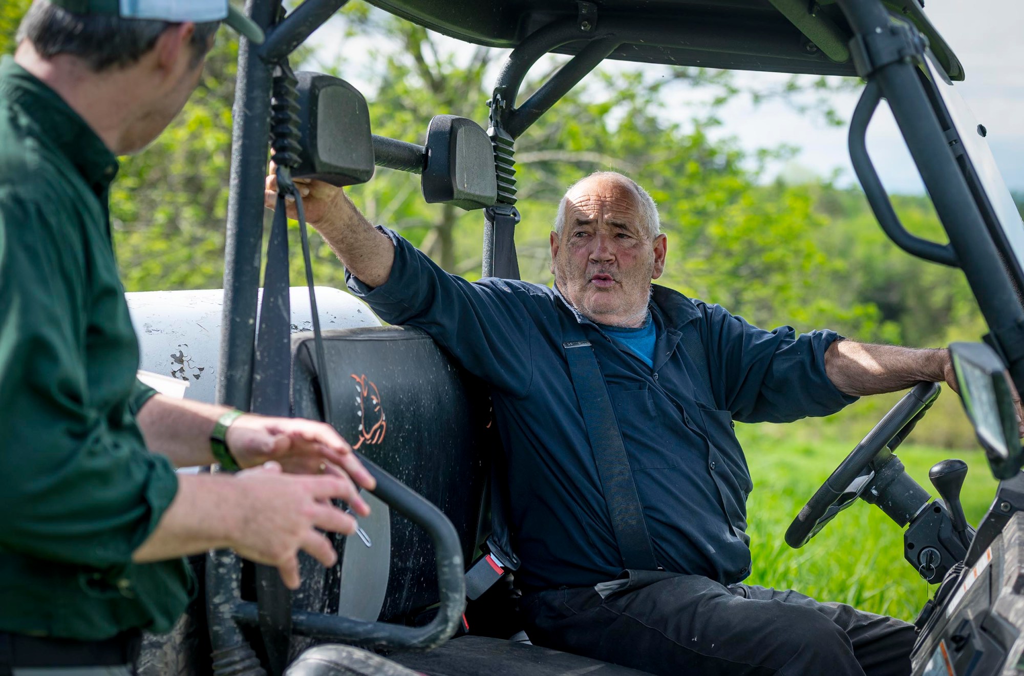 In Cornwall, newly conserved grasslands are for the birds - VTDigger