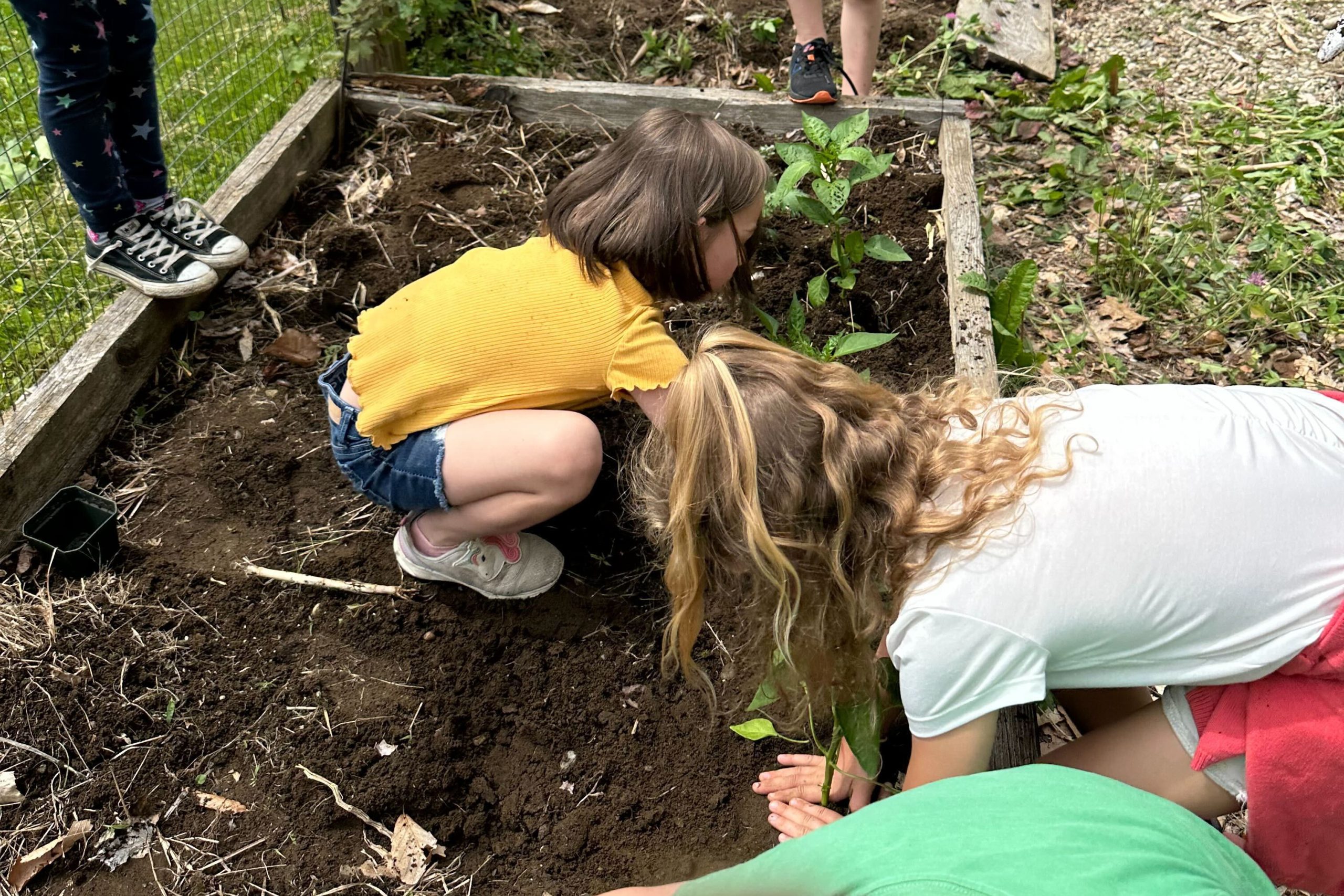 Historic flooding destroyed community and school gardens around Vermont ...