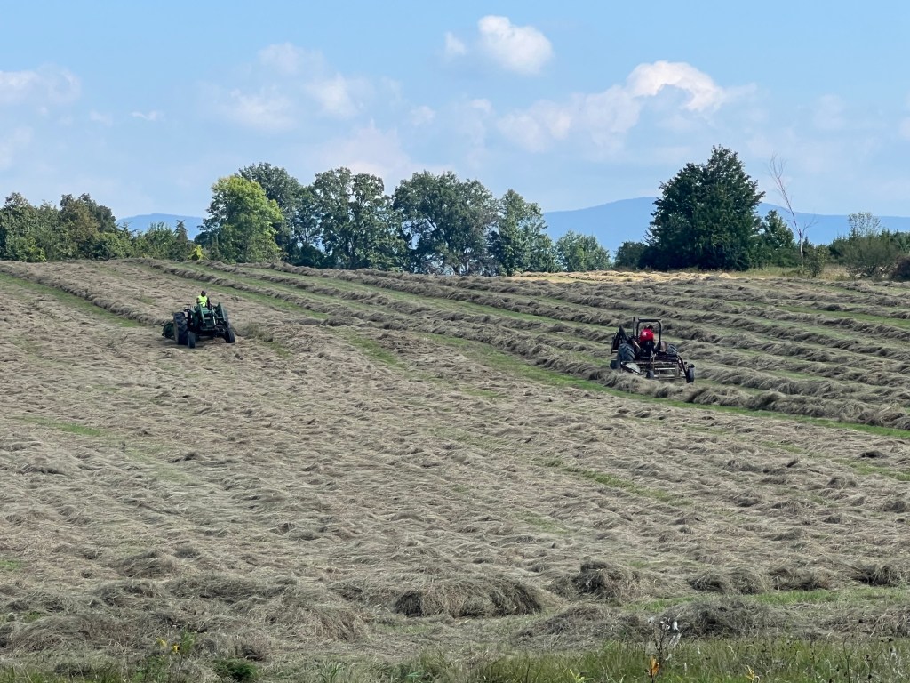 With a rare run of heat and sun, Vermont farmers hurry to harvest their ...