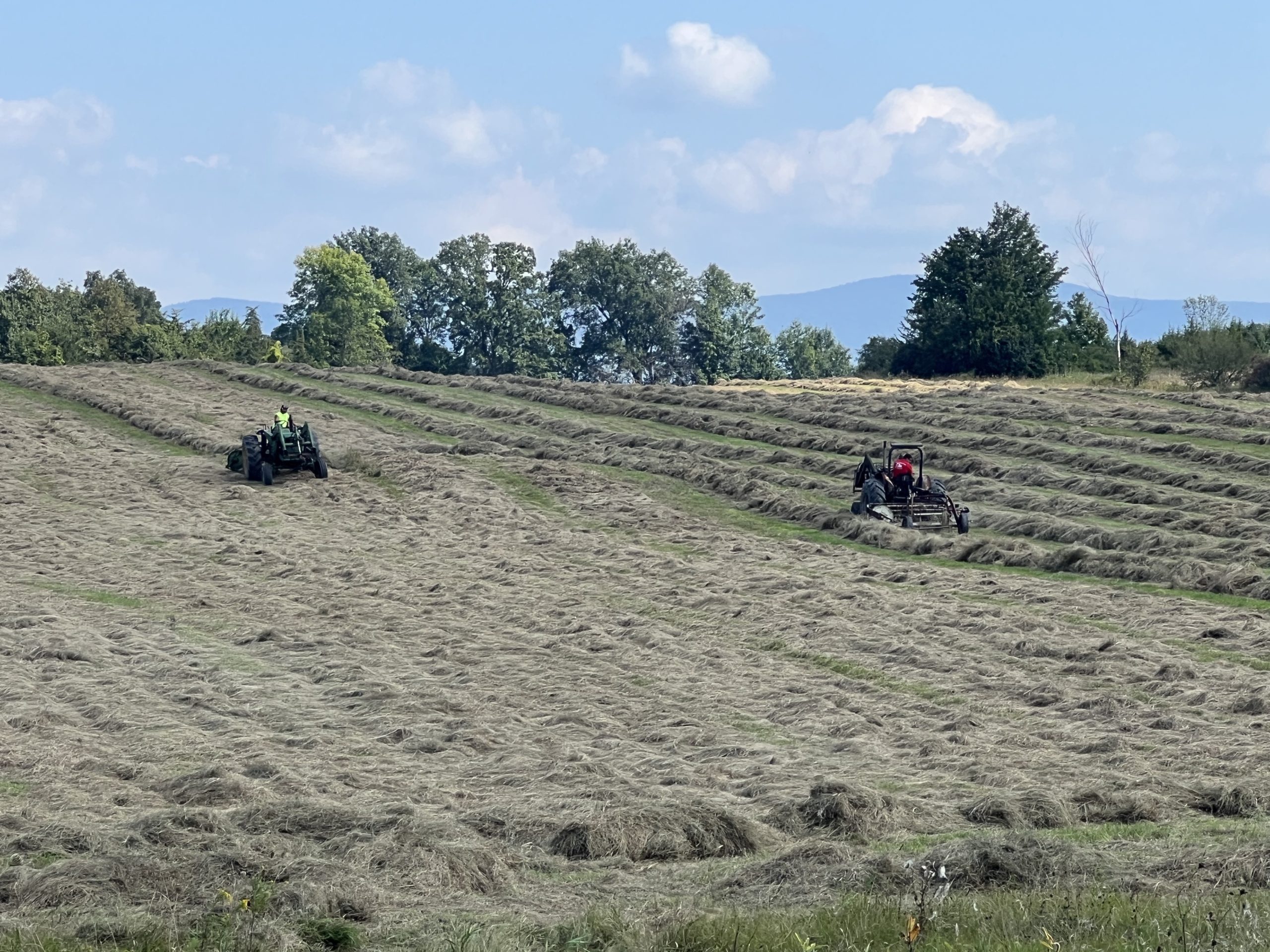 With a rare run of heat and sun, Vermont farmers hurry to harvest their ...