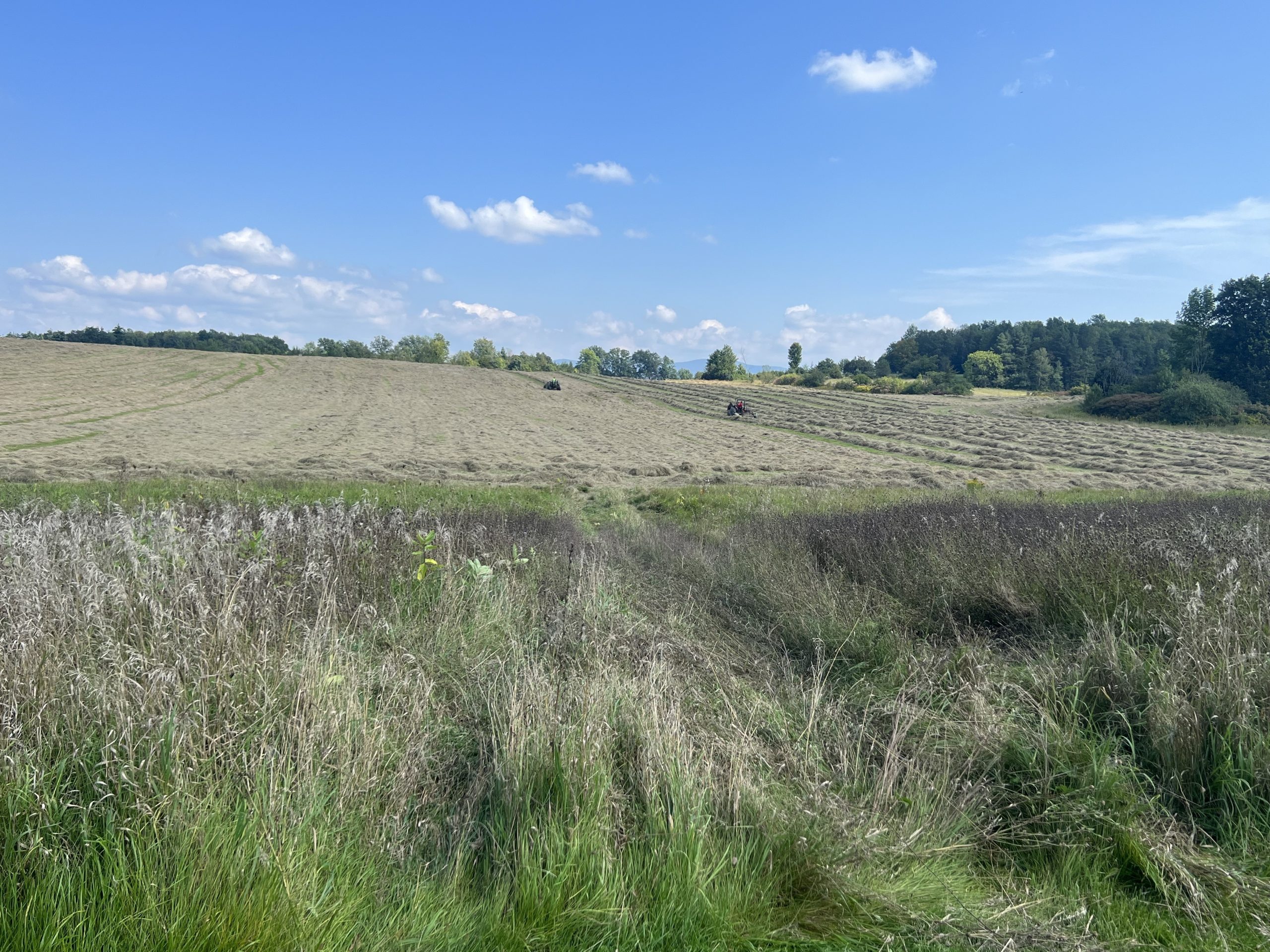 With a rare run of heat and sun, Vermont farmers hurry to harvest their ...
