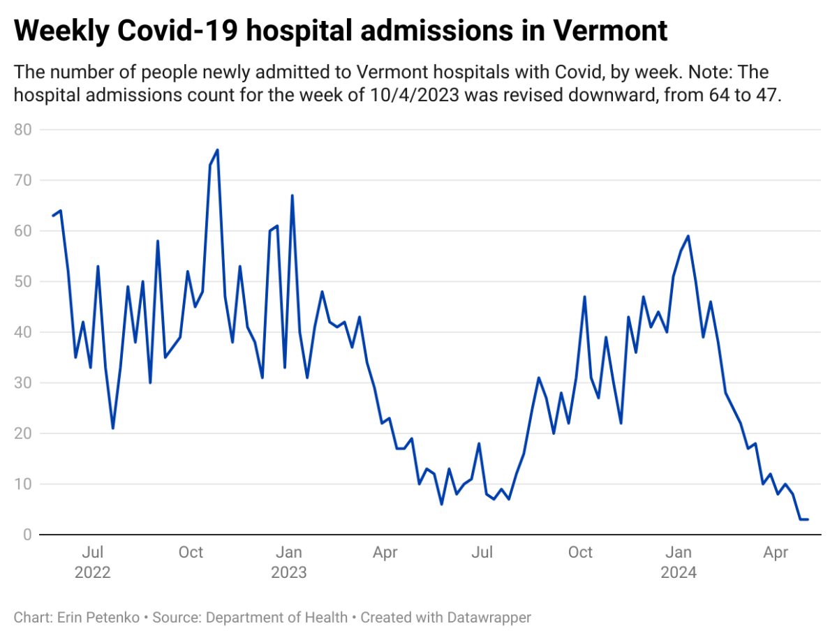 Virus in Vermont: Diana Bander, a long-haul Covid case, confronts her ...