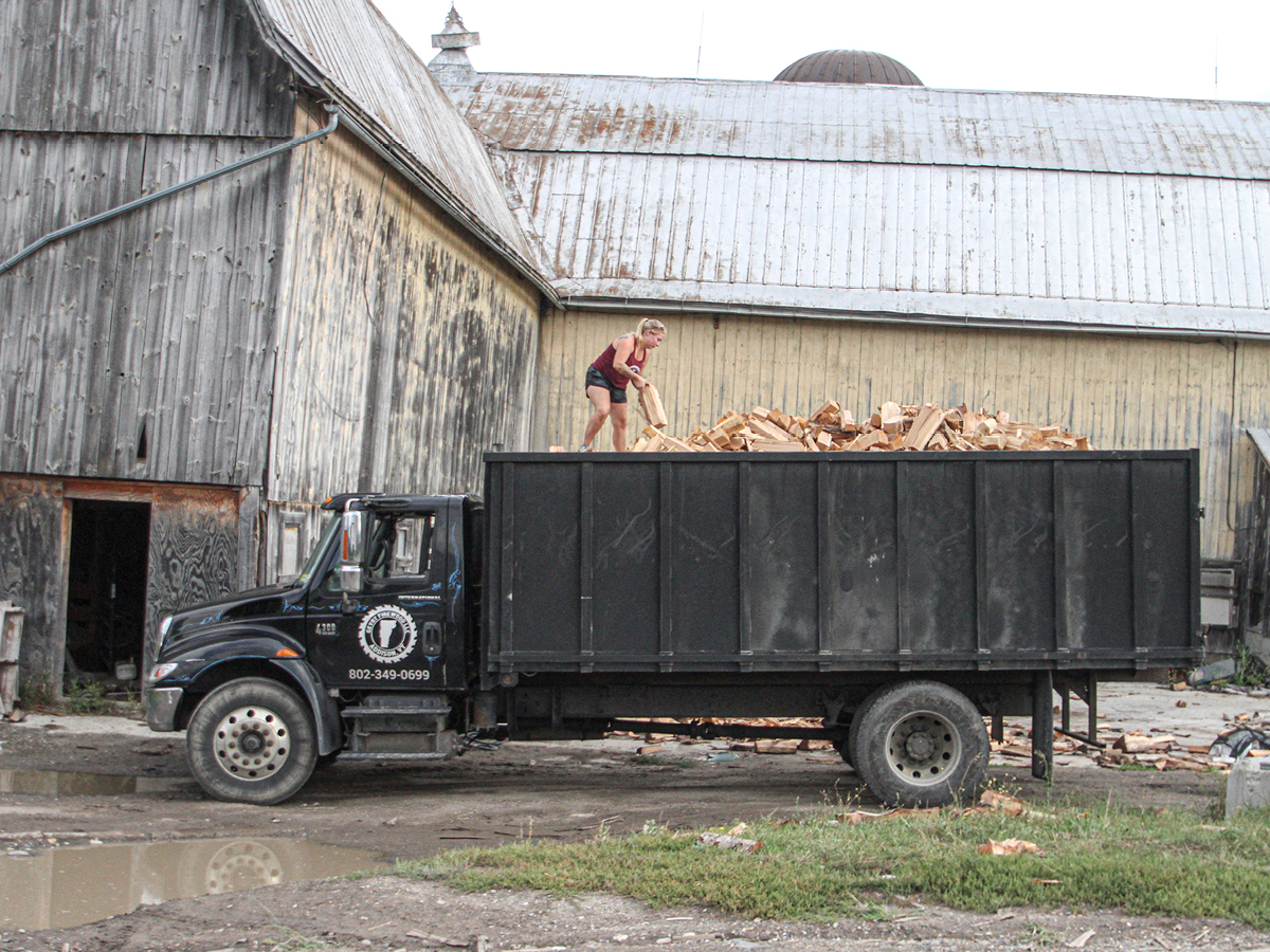 Forestry in focus: New VEDA program supports those in the woods - VTDigger